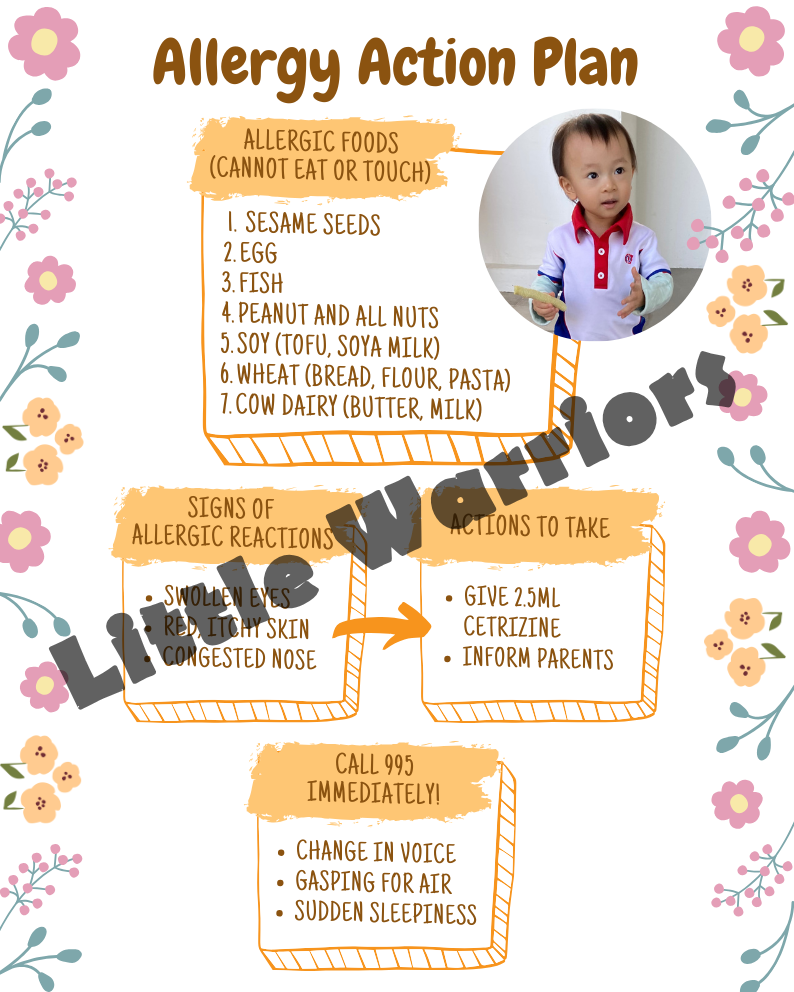 Allery Action Plan Template – Little Warriors SG